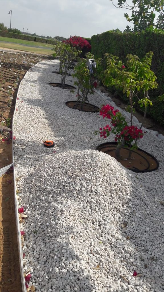 Aluminum Edger – SFS Enterprise LLC